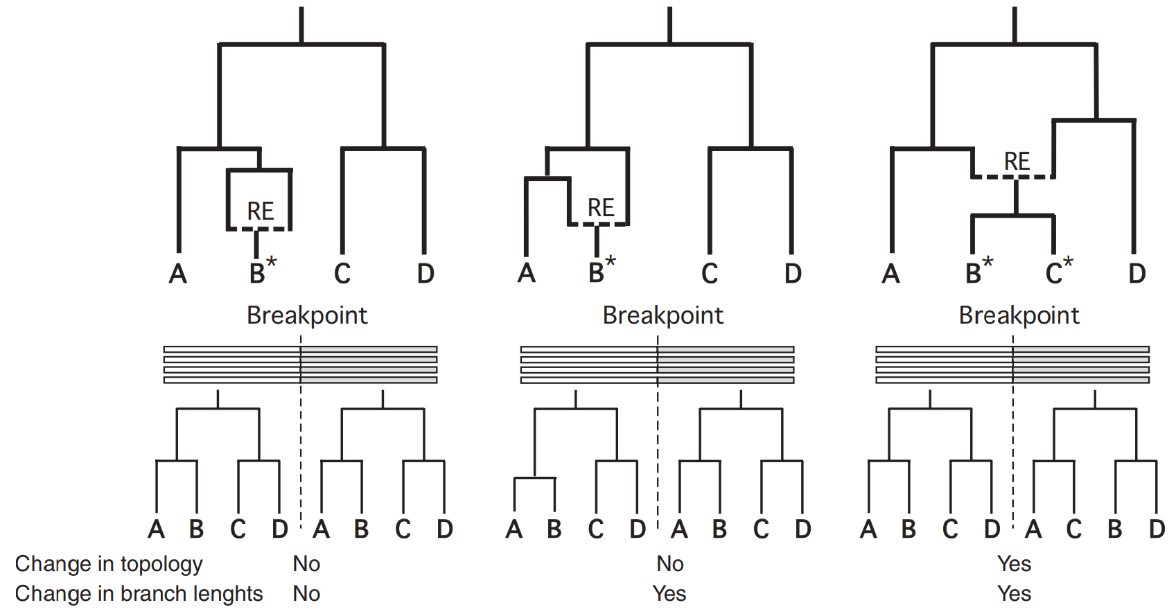 Recombination in trees